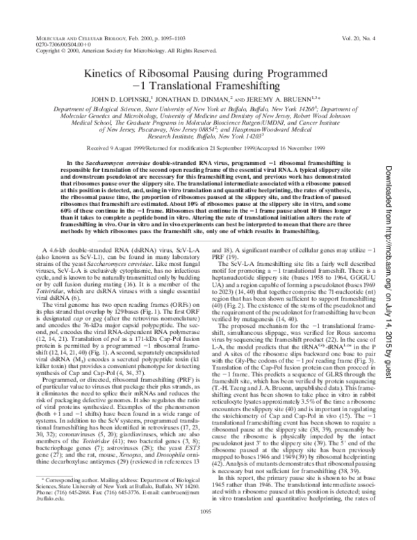 (PDF) Kinetics of Ribosomal Pausing during Programmed -1 Translational ...