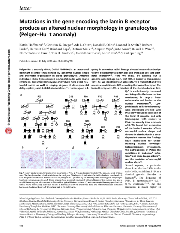 (PDF) Mutations in the gene encoding the lamin B receptor produce an ...