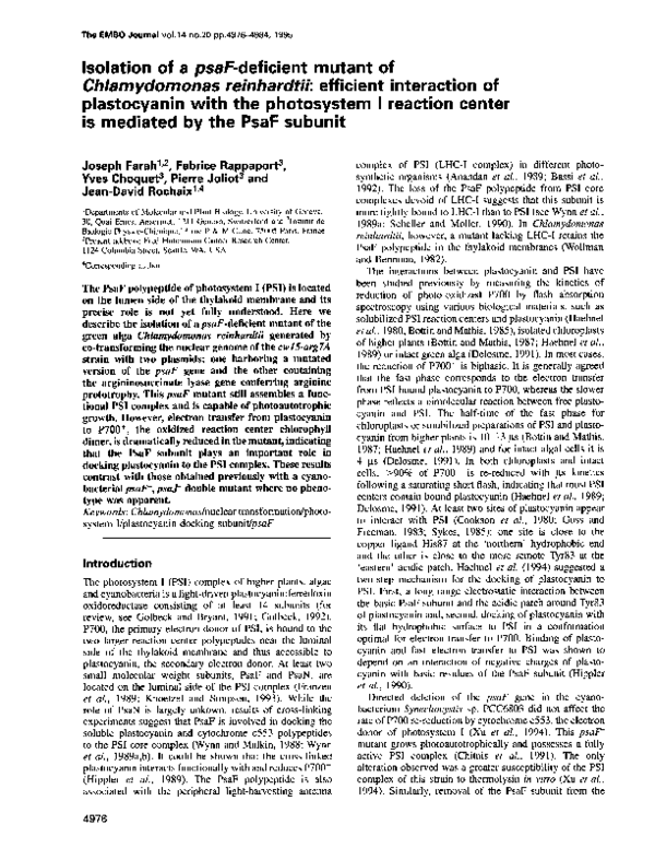 (PDF) Structure of GUN4 from Chlamydomonas reinhardtii | Robert Willows ...