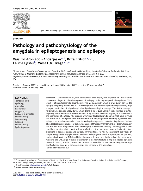 (PDF) Pathology and pathophysiology of the amygdala in epileptogenesis ...