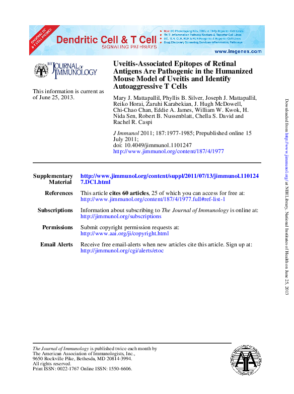 (PDF) Uveitis-Associated Epitopes of Retinal Antigens Are Pathogenic in ...