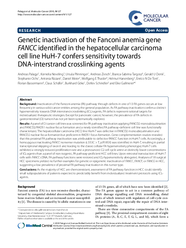 (PDF) Genetic inactivation of the Fanconi anemia gene FANCC identified in the hepatocellular ...
