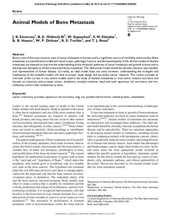 (PDF) Animal Models of Bone Metastasis | Wessel Dirksen and Blake ...