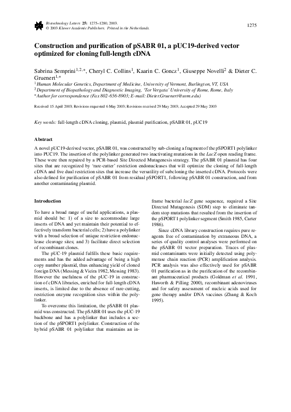 (PDF) Construction and purification of pSABR 01, a pUC19-derived vector ...