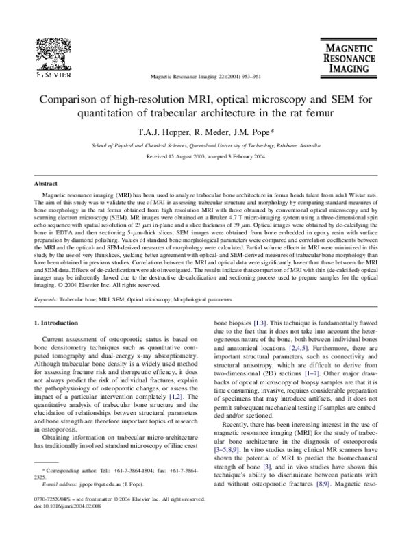 (PDF) Comparison of high-resolution MRI, optical microscopy and SEM for quantitation of ...