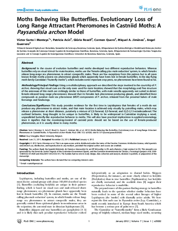 (PDF) Moths Behaving like Butterflies. Evolutionary Loss of Long Range ...