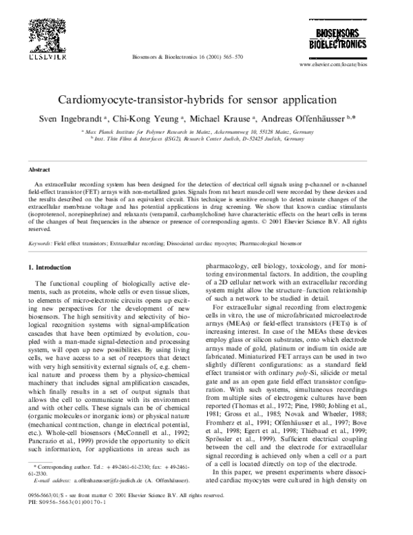 (PDF) Cardiomyocyte-transistor-hybrids for sensor application