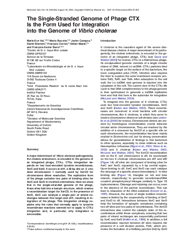 (PDF) The single-stranded genome of phage CTX is the form used for ...