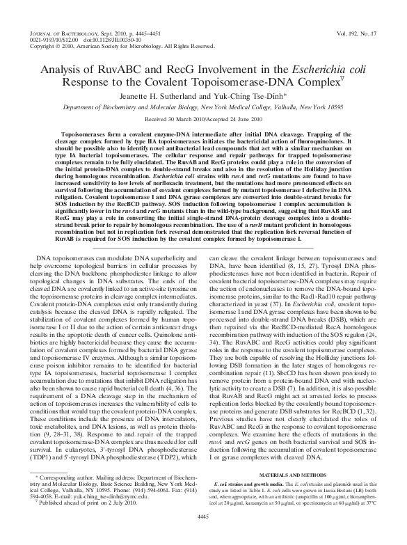 (PDF) Analysis of RuvABC and RecG Involvement in the Escherichia coli ...