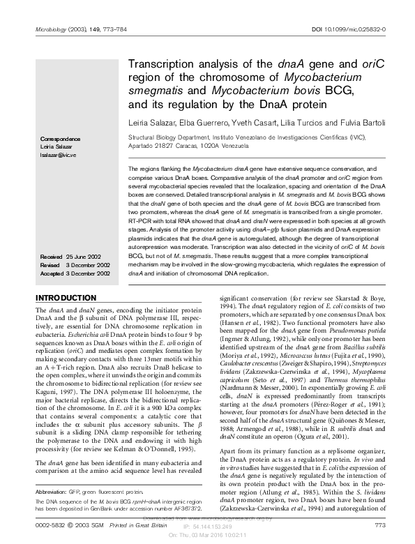 (PDF) Transcription analysis of the dnaA gene and oriC region of the ...