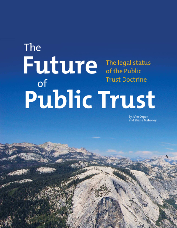 (PDF) The Future of Public Trust