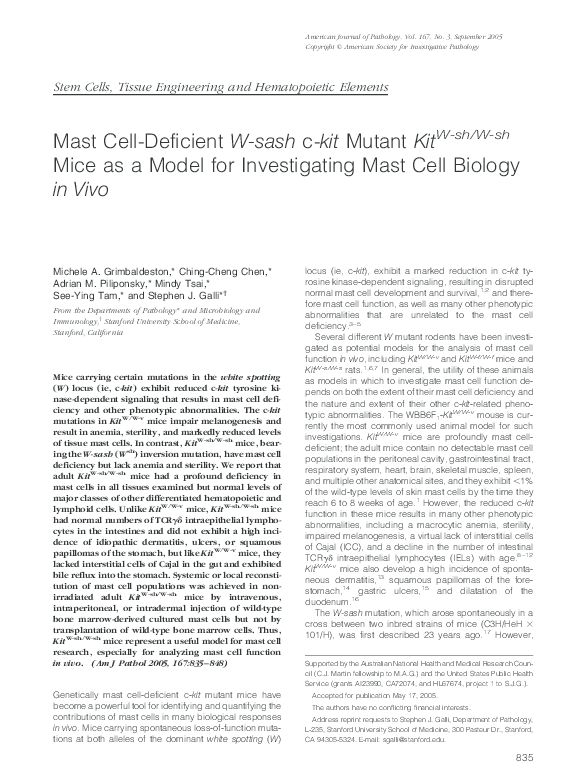 (PDF) Mast Cell-Deficient W-sash c-kit Mutant KitW-sh/W-sh Mice as a ...