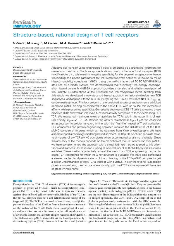 Pdf Structure Based Rational Design Of T Cell Receptors