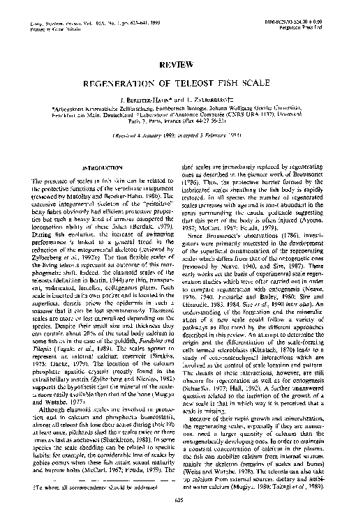 (PDF) Regeneration of teleost fish scale