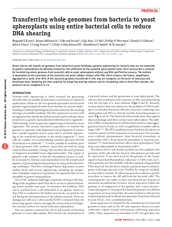 (PDF) Transferring whole genomes from bacteria to yeast spheroplasts ...