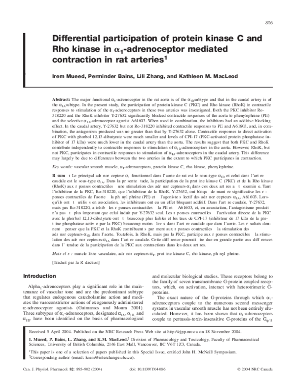 (PDF) Differential participation of protein kinase C and Rho kinase in ... (PDF) Differential participation of protein kinase C and Rho kinase in ...