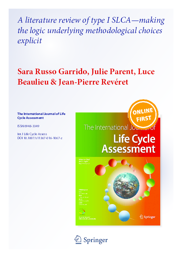 (PDF) A literature review of type I SLCA—making the logic underlying ...