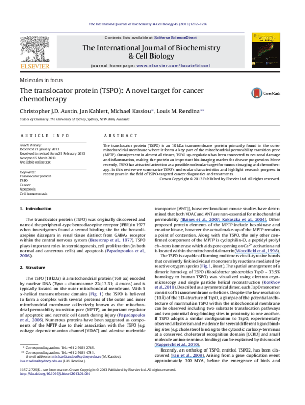 (PDF) The translocator protein (TSPO): A novel target for cancer ...