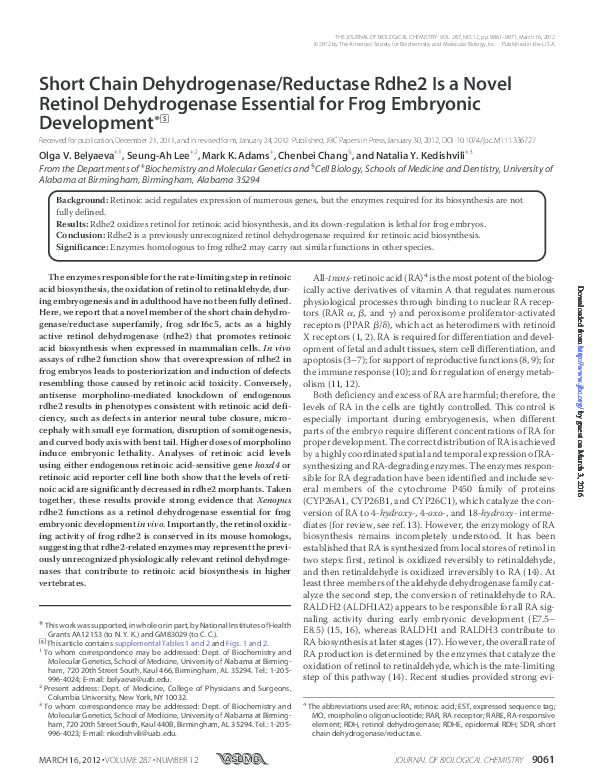 (PDF) Short Chain Dehydrogenase/Reductase Rdhe2 Is a Novel Retinol ...