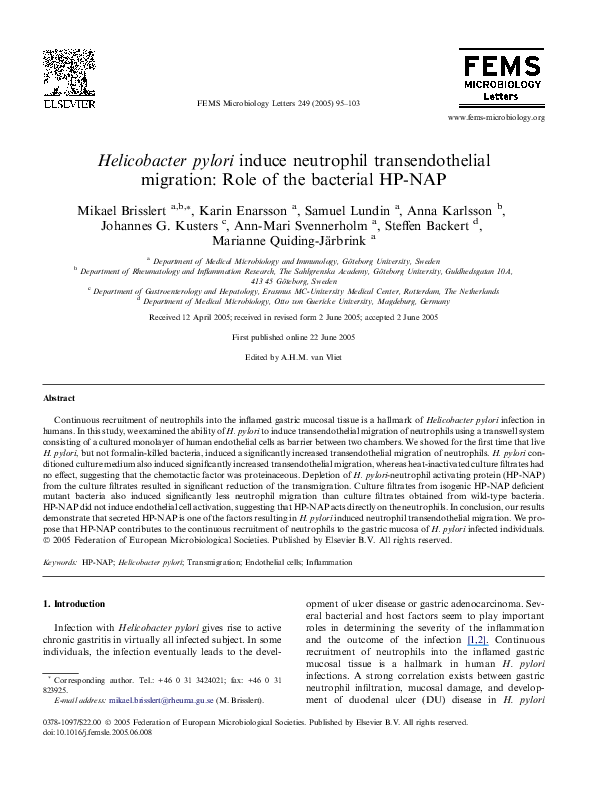 (PDF) Helicobacter pylori induce neutrophil transendothelial migration ...