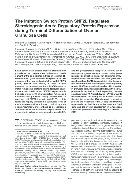 (PDF) The Imitation Switch Protein SNF2L Regulates Steroidogenic Acute ...