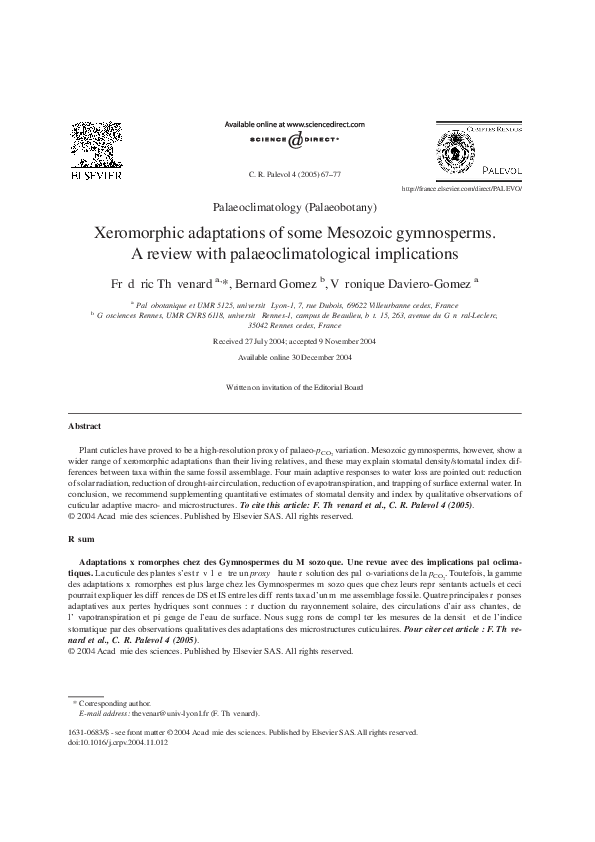 (PDF) Xeromorphic adaptations of some Mesozoic gymnosperms. A review ...