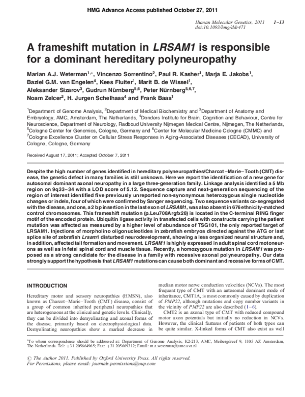 (PDF) A frameshift mutation in LRSAM1 is responsible for a dominant ...