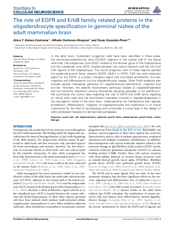 (PDF) The Signaling of Neuregulin-Epidermal Growth Factor Receptors and ...