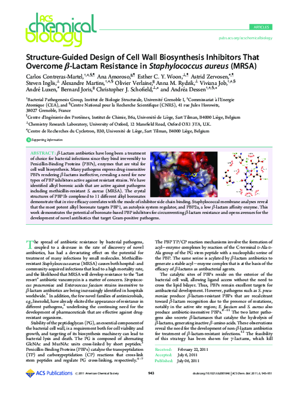 (PDF) Structure-Guided Design of Cell Wall Biosynthesis Inhibitors That ...