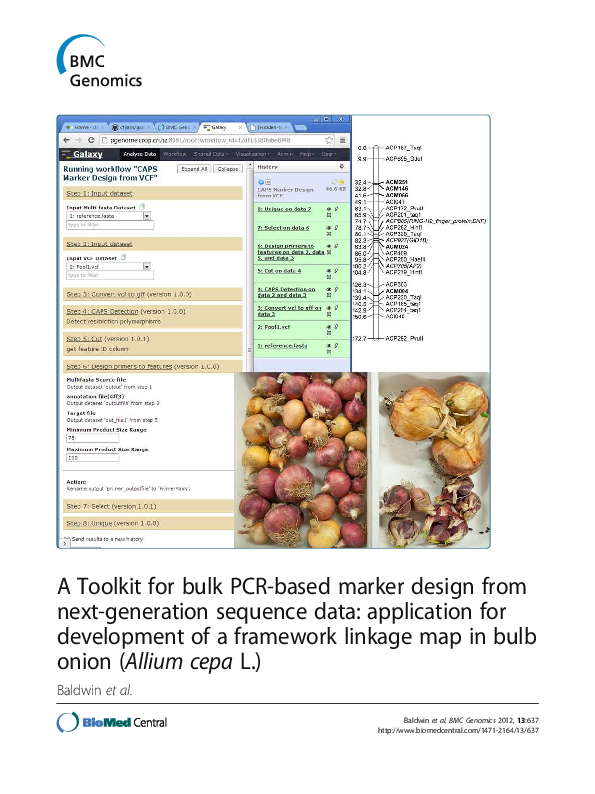 Pdf A Toolkit For Bulk Pcr Based Marker Design From Next Generation Sequence Data Application