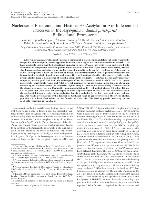 (PDF) Nucleosome Positioning and Histone H3 Acetylation Are Independent ...
