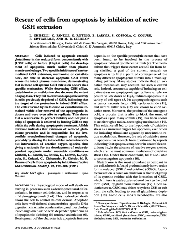 (PDF) Rescue of cells from apoptosis by inhibition of active GSH ...