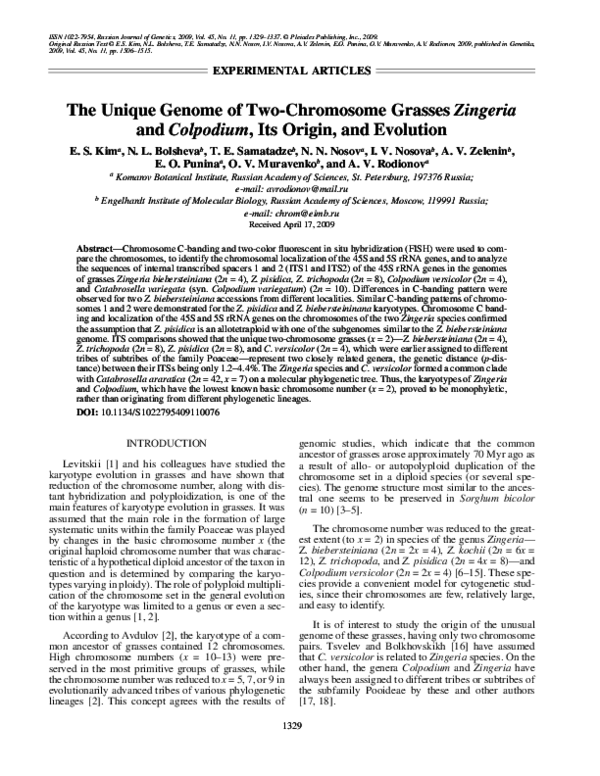 (PDF) The unique genome of two-chromosome grasses Zingeria and ...