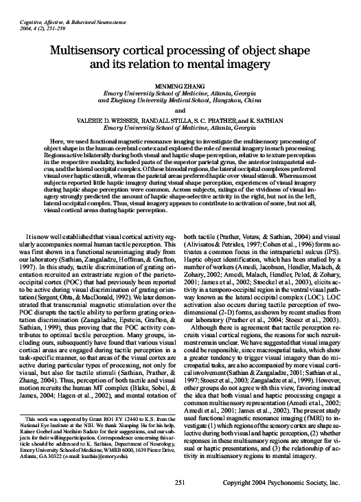 (PDF) Multisensory cortical processing of object shape and its relation to mental imagery