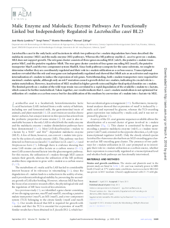 (PDF) Malic Enzyme and Malolactic Enzyme Pathways Are Functionally ...