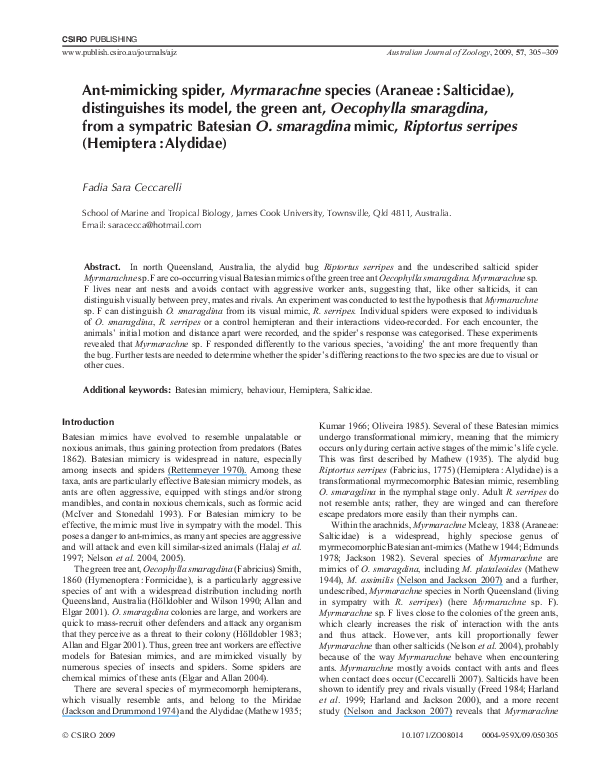 (PDF) Ant-mimicking spider, Myrmarachne species (Araneae : Salticidae ...