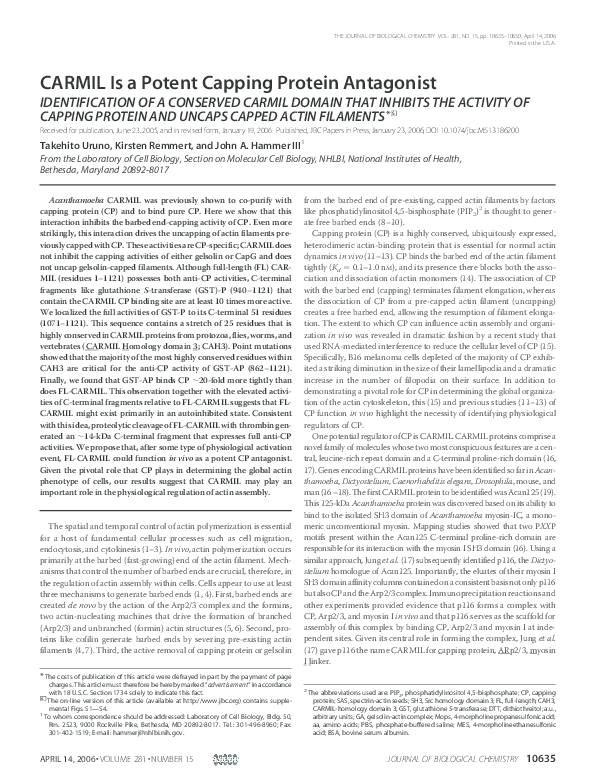 (PDF) CARMIL Is a Potent Capping Protein Antagonist: IDENTIFICATION OF ...
