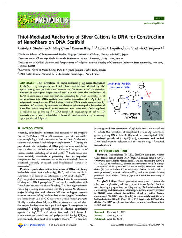 (PDF) Thiol-Mediated Anchoring of Silver Cations to DNA for ...