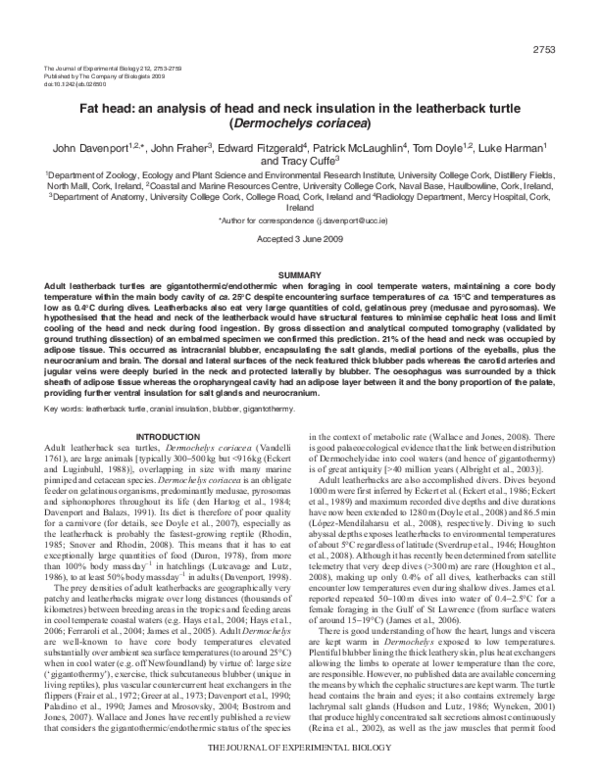 (PDF) Fat head: an analysis of head and neck insulation in the ...
