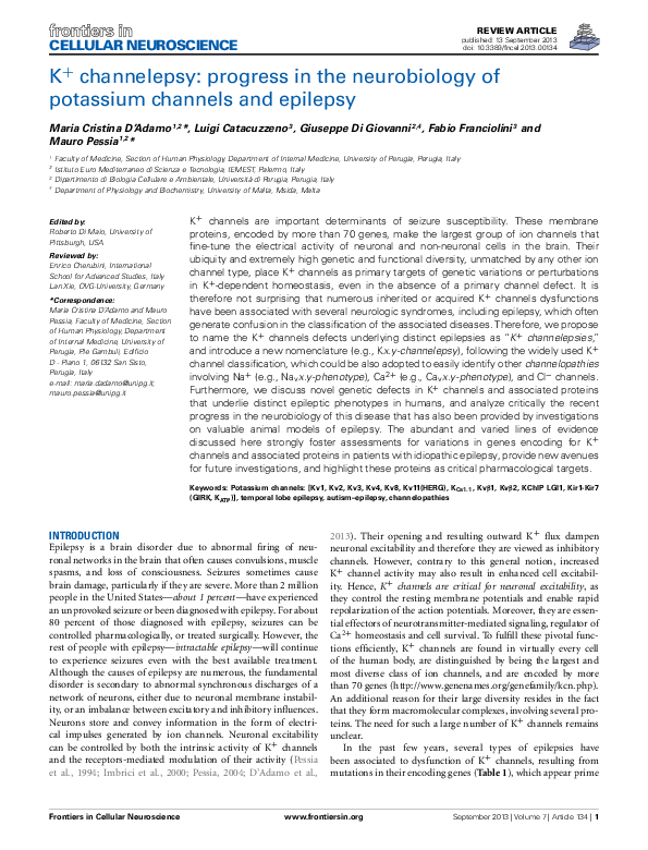 (PDF) K+ channelepsy: Progress in the neurobiology of potassium ...