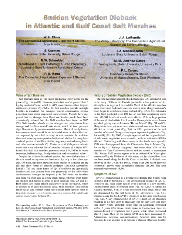 (PDF) Sudden Vegetation Dieback in Atlantic and Gulf Coast Salt Marshes