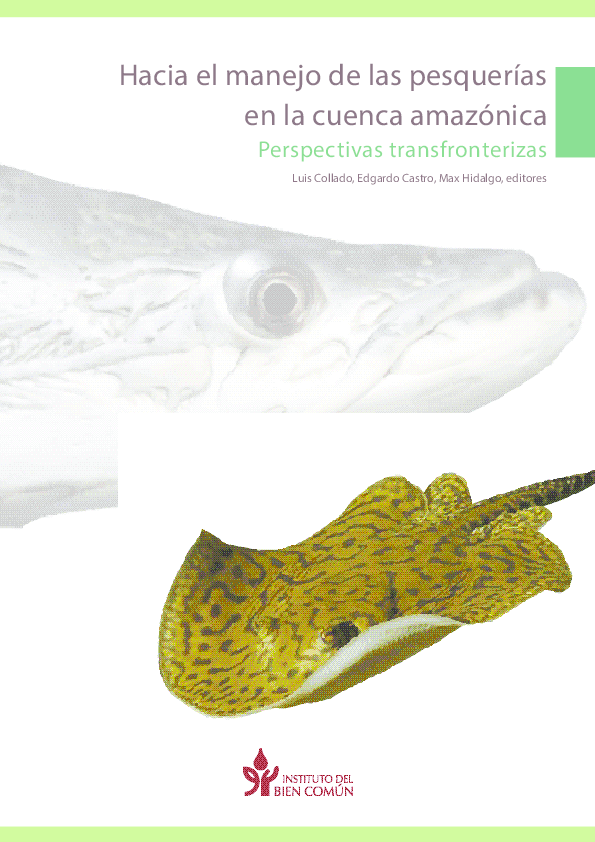 (PDF) Hacia el manejo de las pesquerías en la cuenca amazónica ...