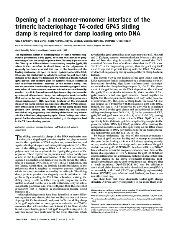 (PDF) High-efficiency DNA ligation for clamp attachment without ...