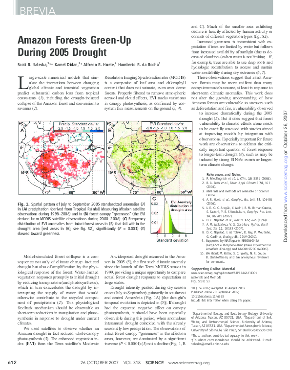 (PDF) Amazon Forests Green-Up During 2005 Drought