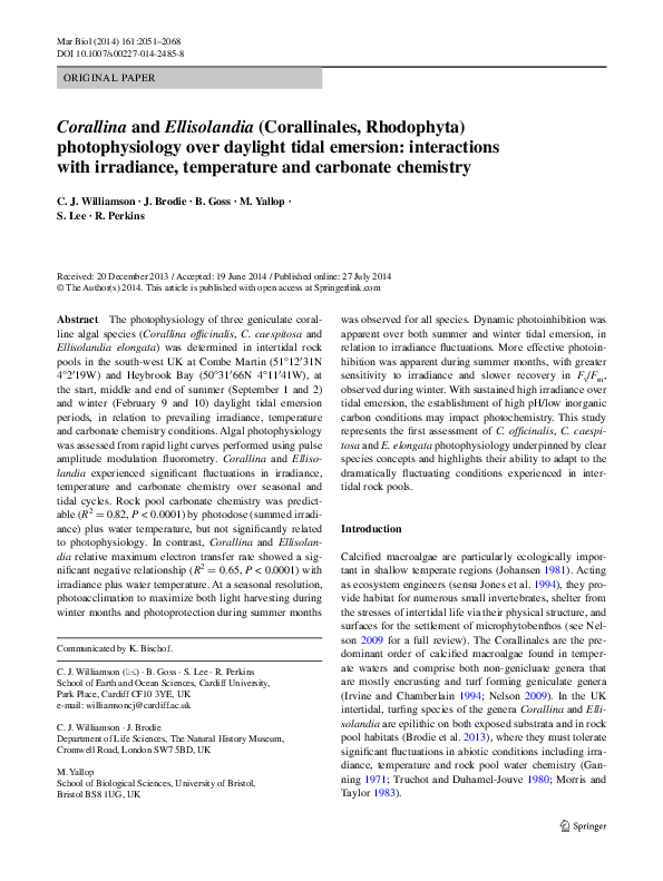 (PDF) Corallina and Ellisolandia (Corallinales, Rhodophyta ...