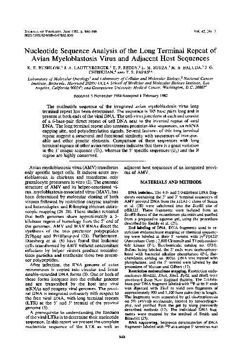 (PDF) Nucleotide sequence analysis of the Long Terminal Repeat (LTR) of ... (PDF) Nucleotide sequence analysis of the Long Terminal Repeat (LTR) of ...