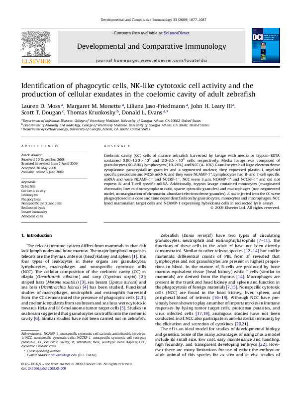 (PDF) Identification of phagocytic cells, NK-like cytotoxic cell ...