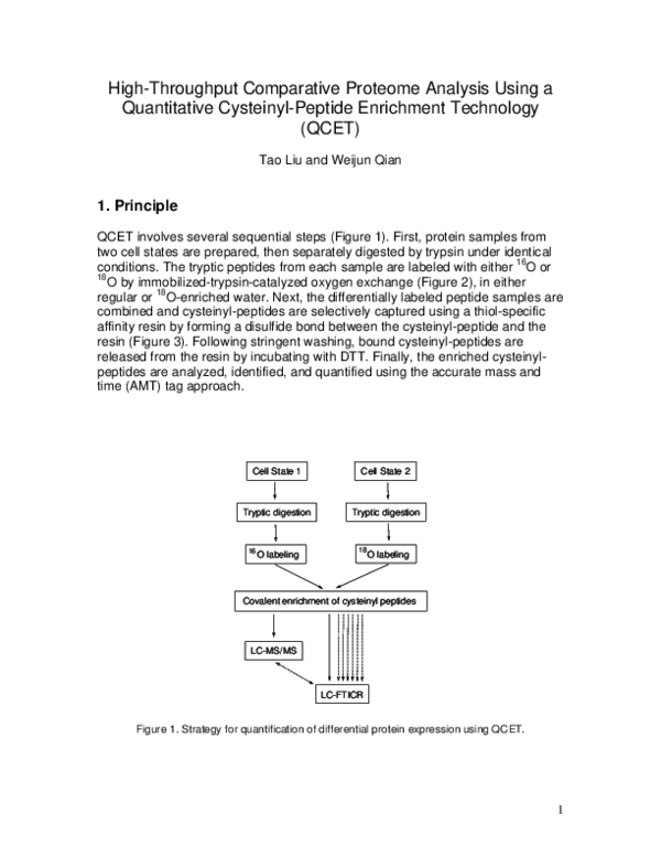 (PDF) High-Throughput Comparative Proteome Analysis Using a ...