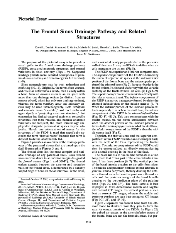 (PDF) The Frontal Sinus Drainage Pathway and Related Structures