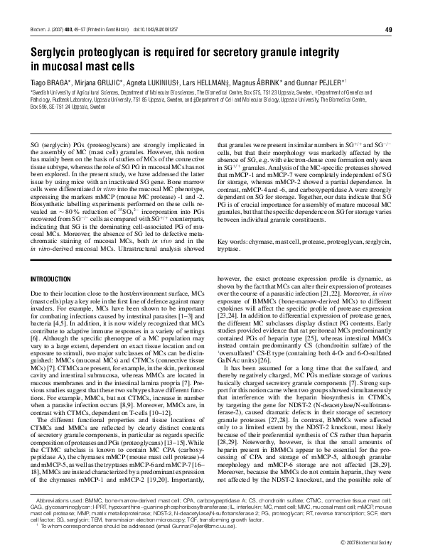 (PDF) Serglycin proteoglycan is required for secretory granule ...